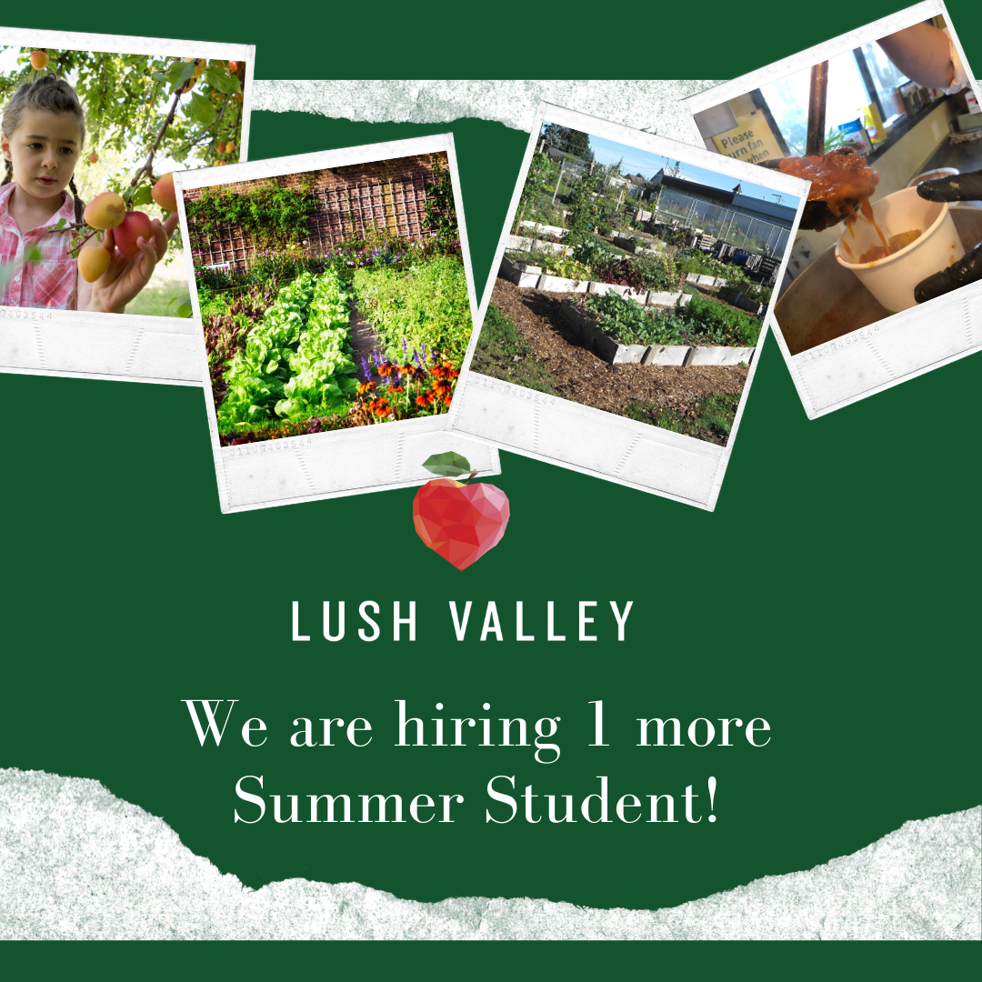 LUSH Valley hiring one more summer student - LUSH