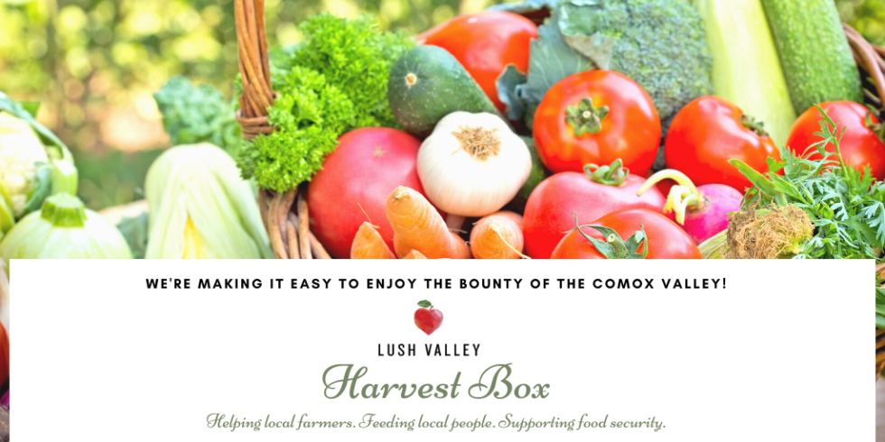 Introducing the new 'Harvest Box' Program - LUSH