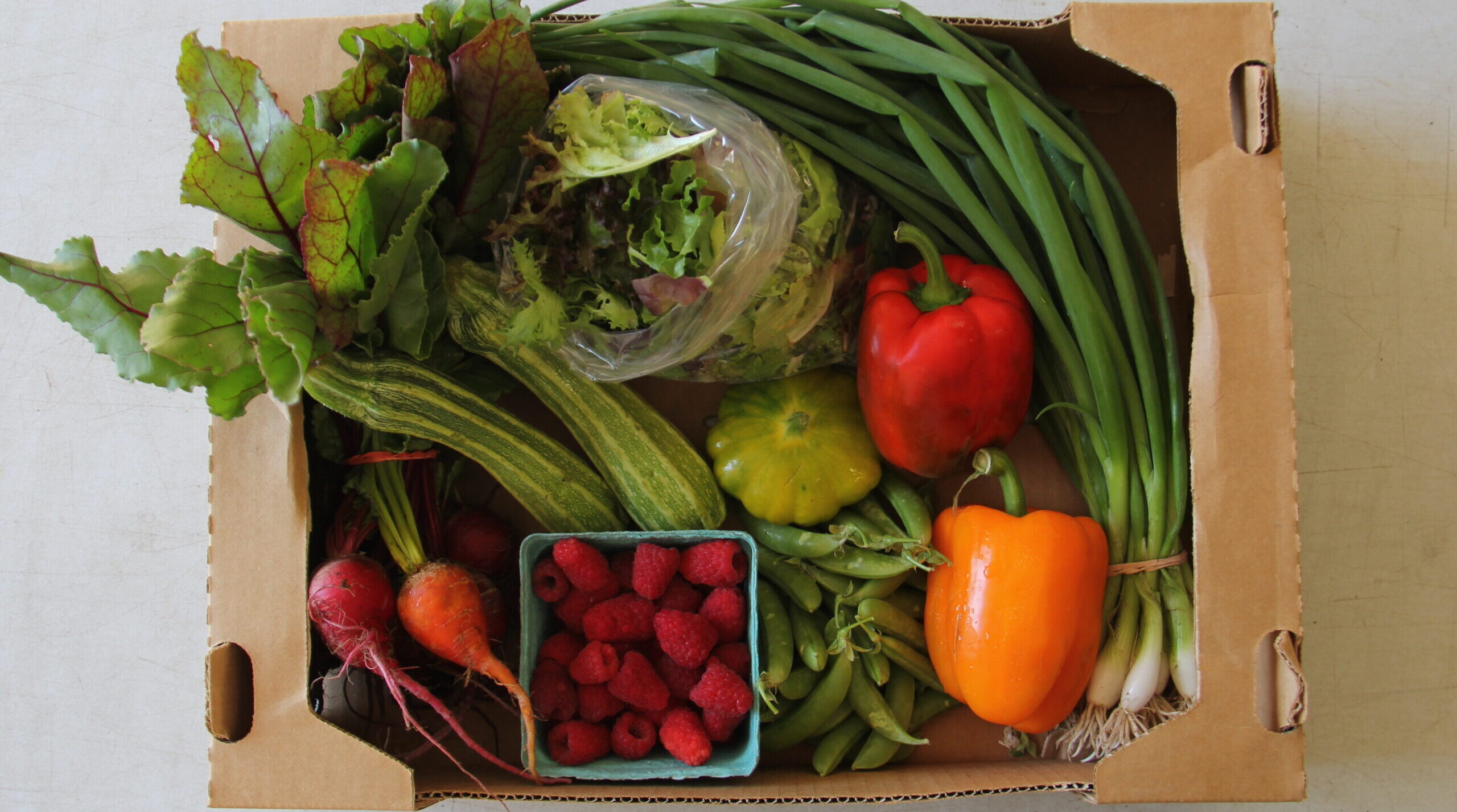 Back by Popular Demand: Autumn Subscriptions to the Good Food Box - LUSH
