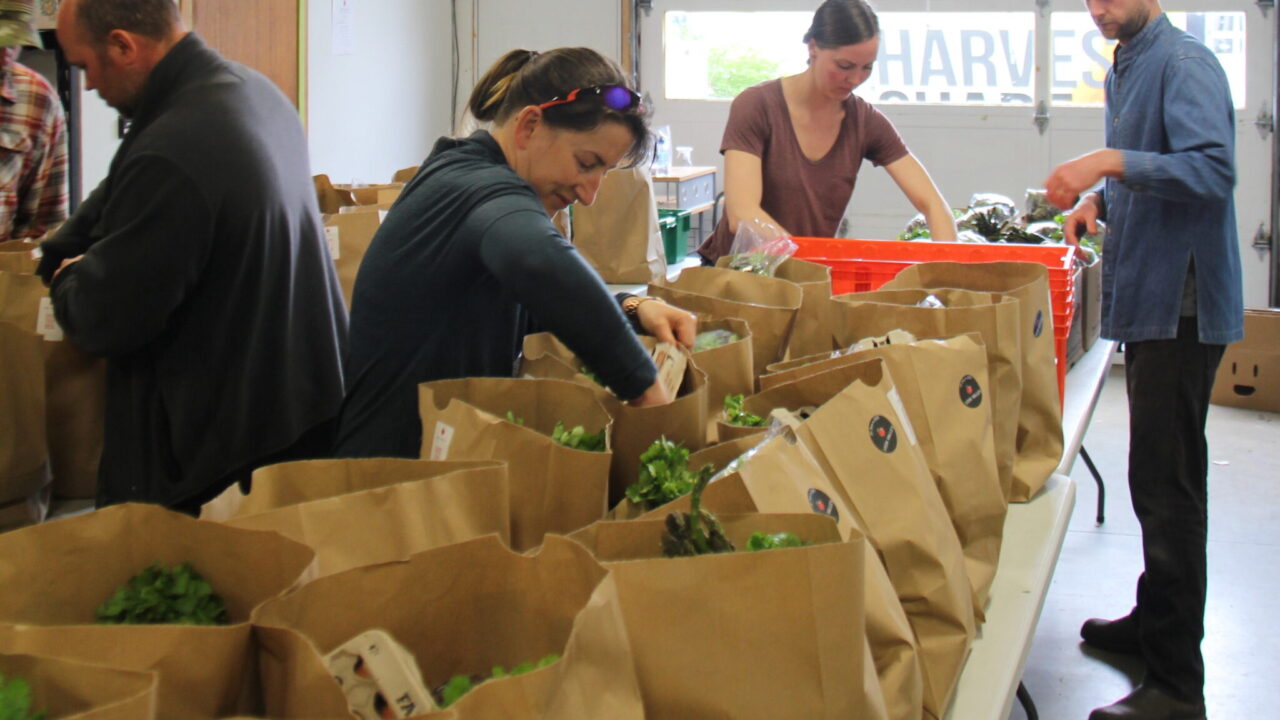 Good Food Box - LUSH