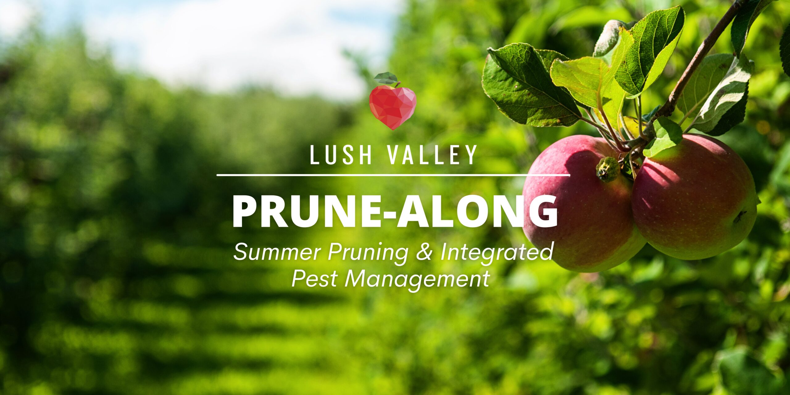 New Branch of Prune-Along - LUSH