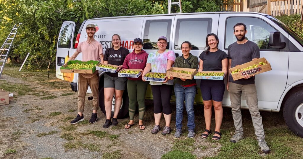 Grade-A Season for the Fruit Tree Program - LUSH