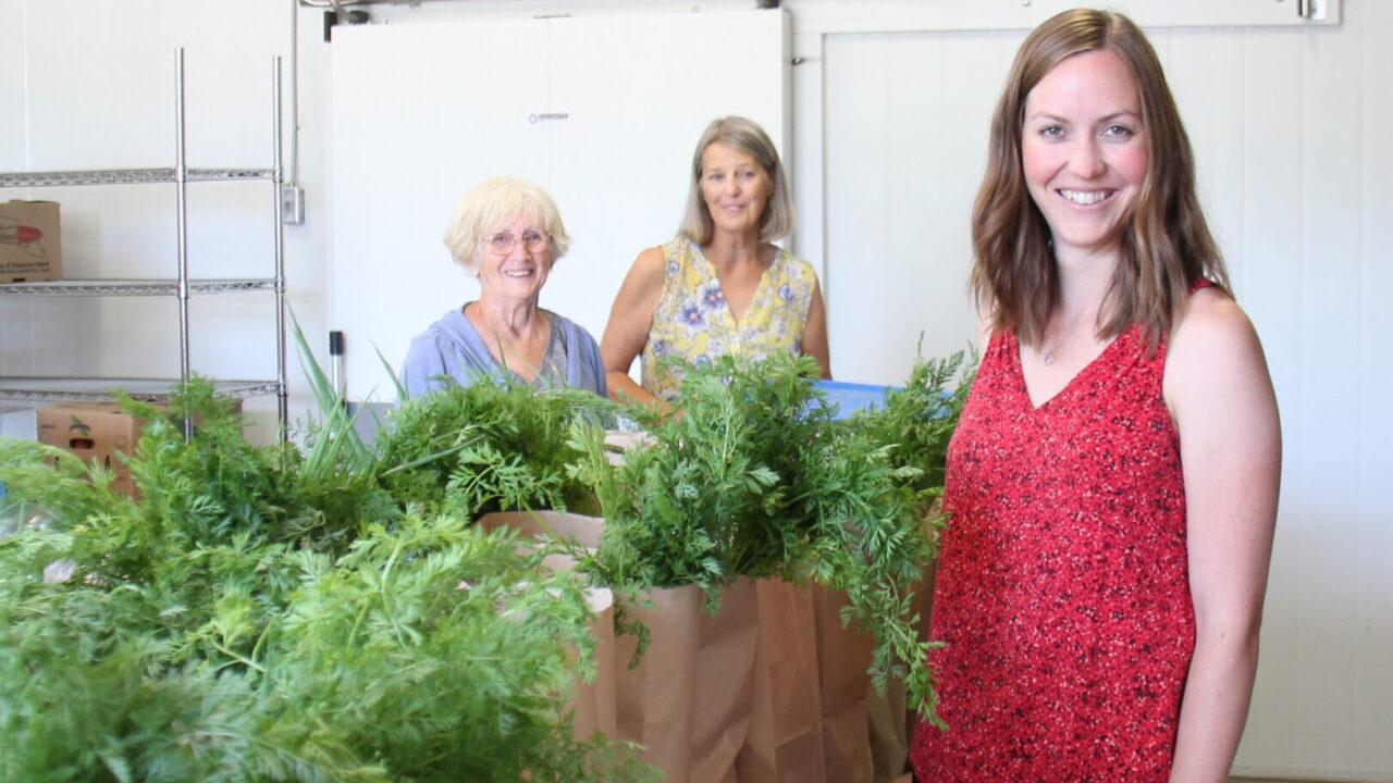 Good Food Box - LUSH