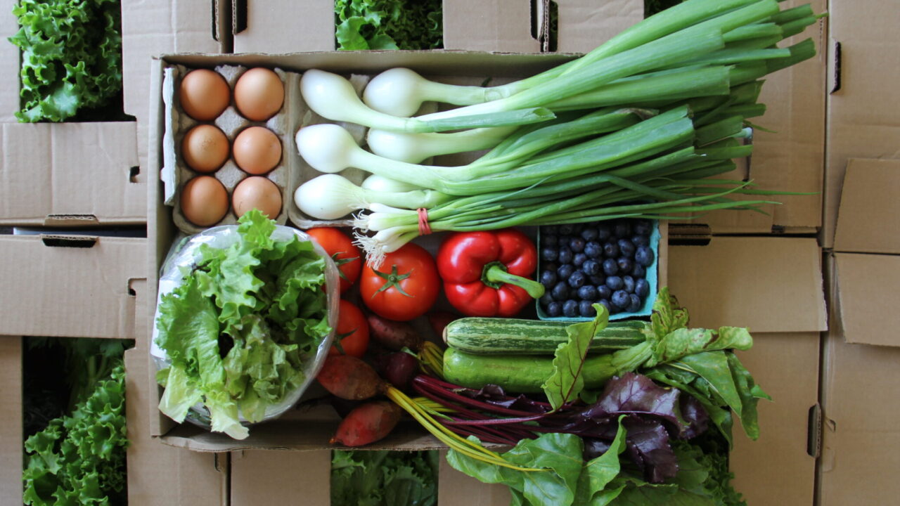 Good Food Box - LUSH